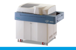 XL 200 - Erba India